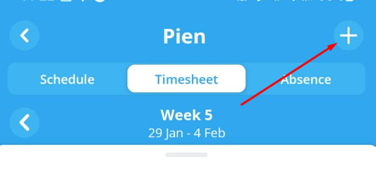 Record working hours manually